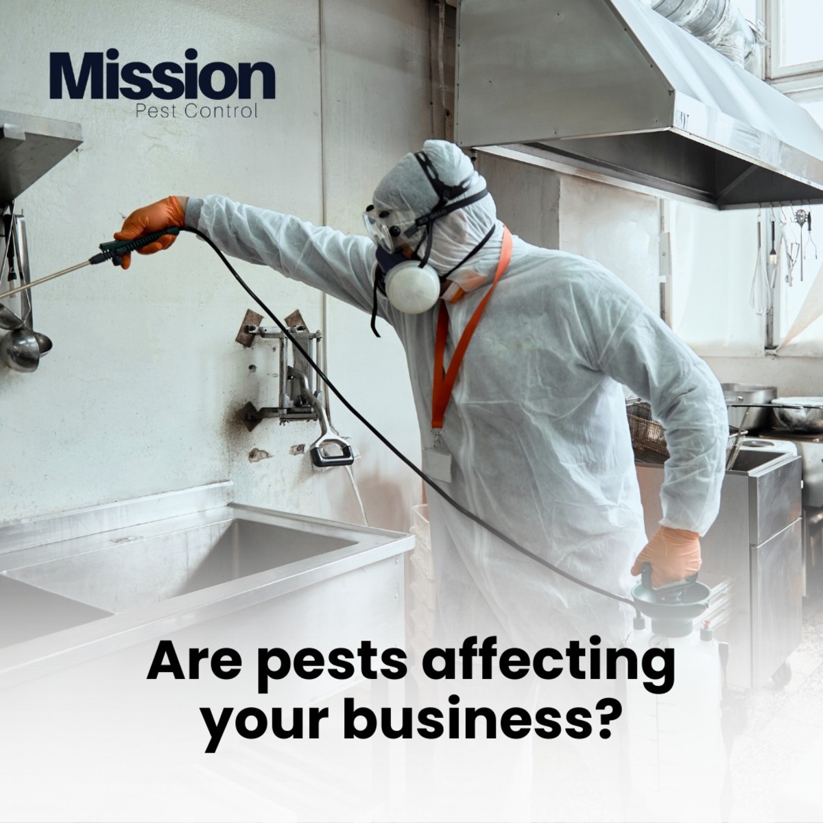 Pest Control Swindon | Mission Pest Control